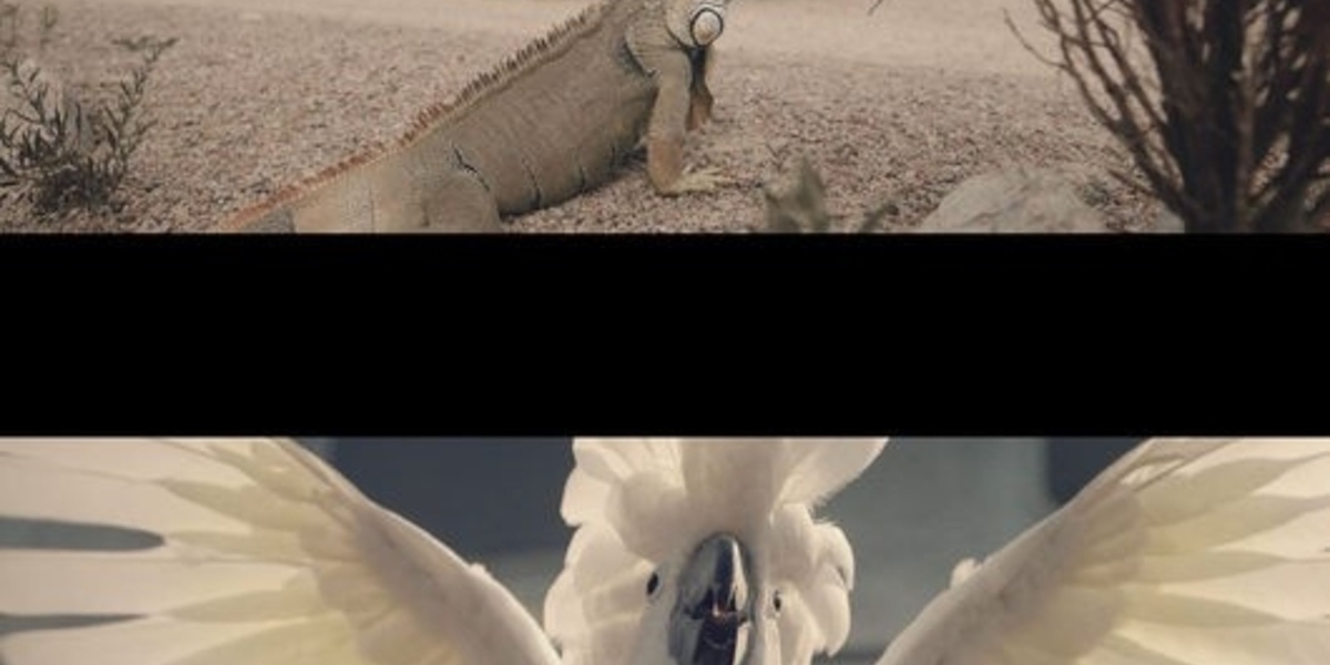 (G)I-DLE、新曲「DUMDi DUMDi」MV予告映像を公開…エキゾチックな雰囲気 - Kstyle