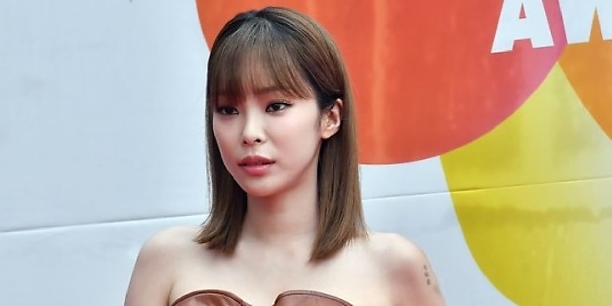 Heize、膝の靭帯損傷と骨折で病院へ…コンサートは予定通り進行「公演の動線に一部制限」 - Kstyle