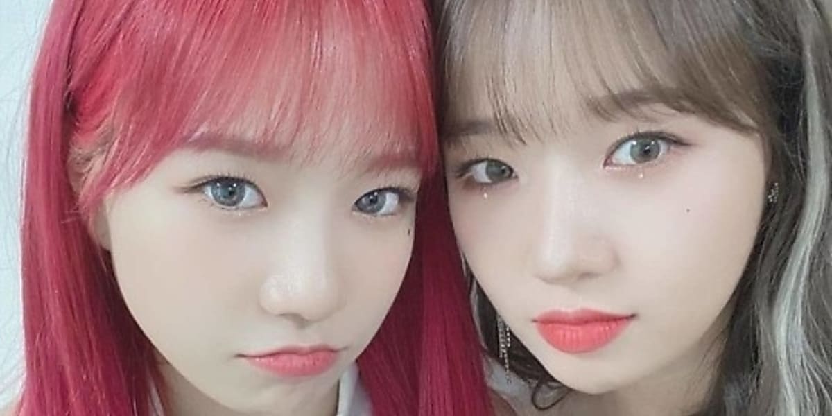 Weki Meki チェ・ユジョン＆IZ*ONE チョ・ユリ、ツーショットがSNSで話題に…ファンからも熱い反応「一緒にいるともっとそっくり」 - Kstyle